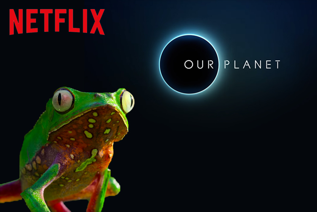 Dokumentárne filmy od Netflixu si teraz môžete pozrieť bezplatne priamo ...