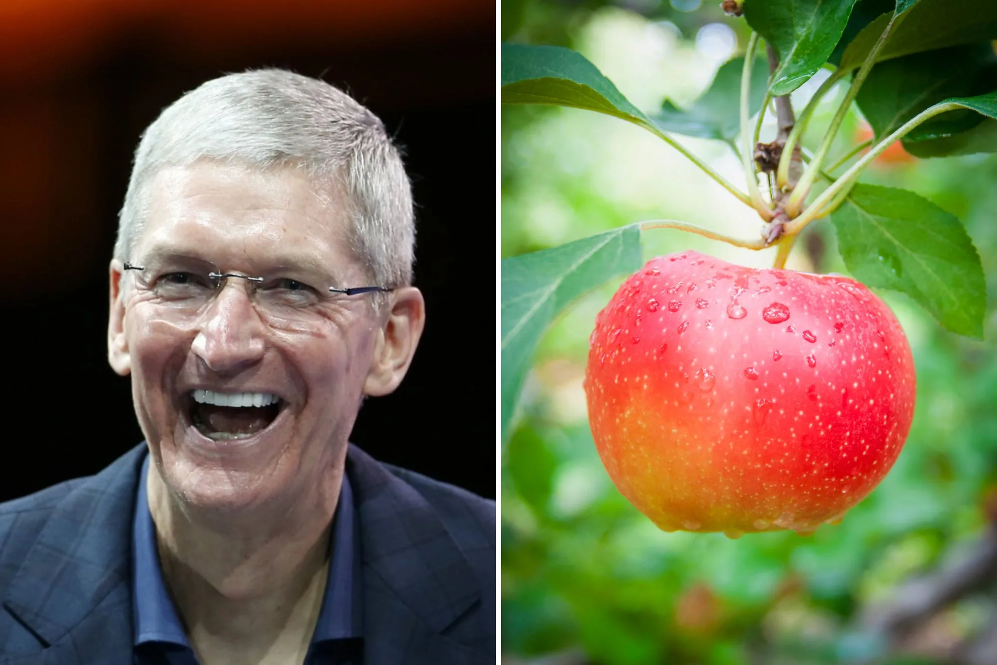 Nepreháňa to už? Apple chce vlastniť obrázky obyčajných jabĺk, nárokuje ...